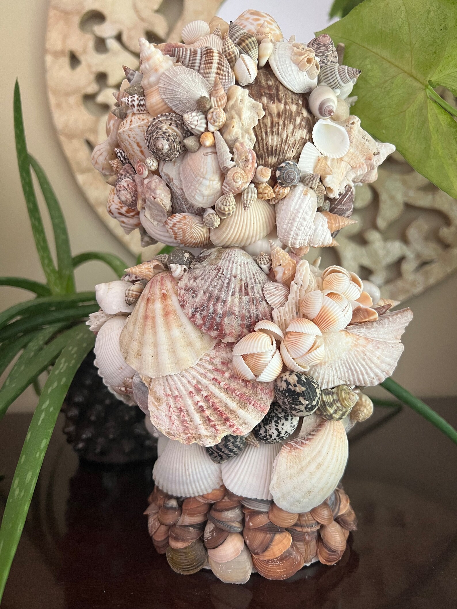 Sea Shell Embellished Bust - Etsy