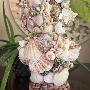 Sea Shell Embellished Bust - Etsy