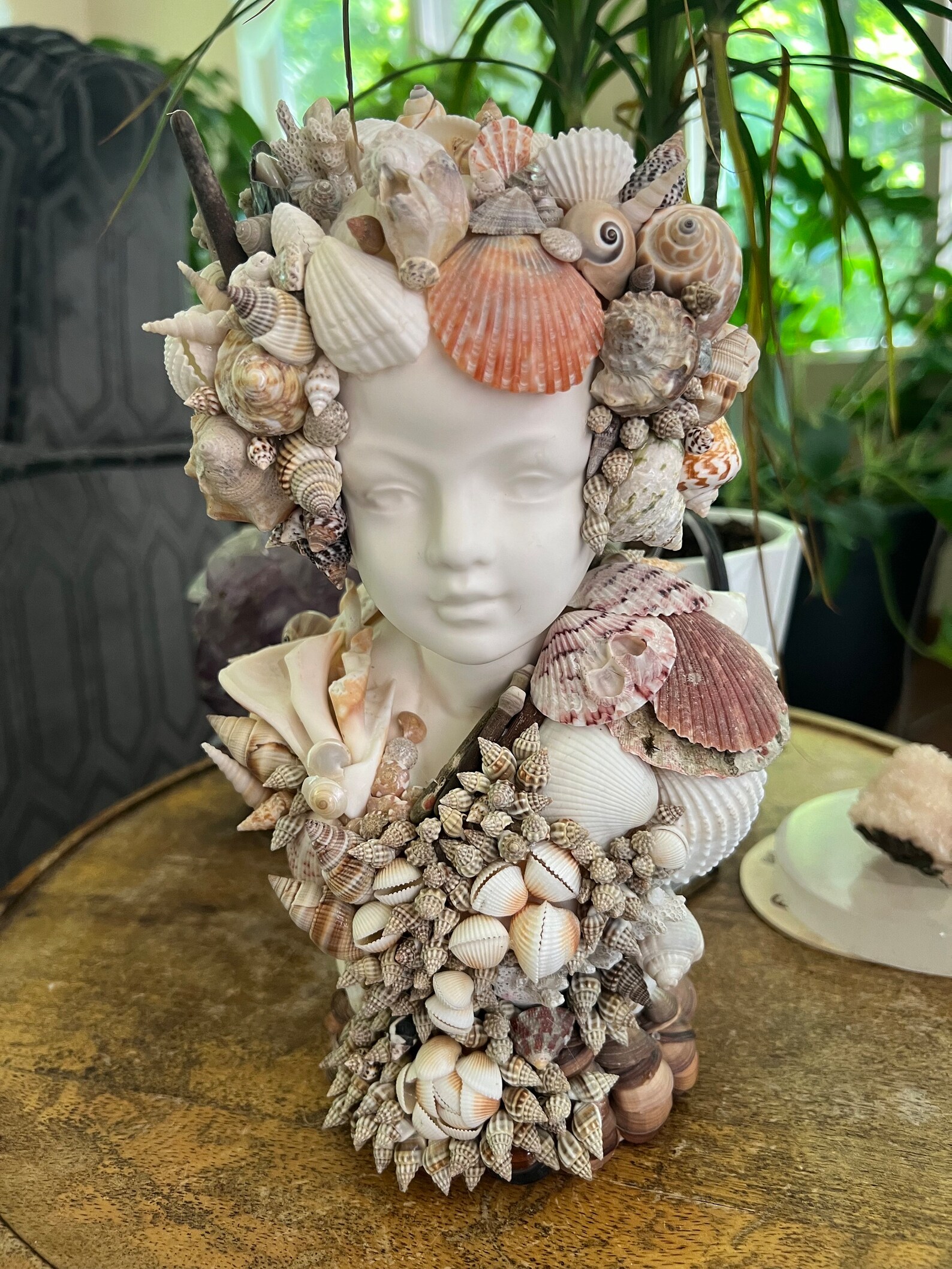 Sea Shell Embellished Bust - Etsy