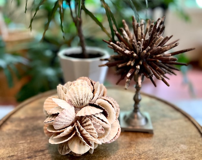 Sea Shell Orbs - Etsy