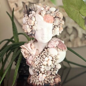 Sea Shell Embellished Bust - Etsy