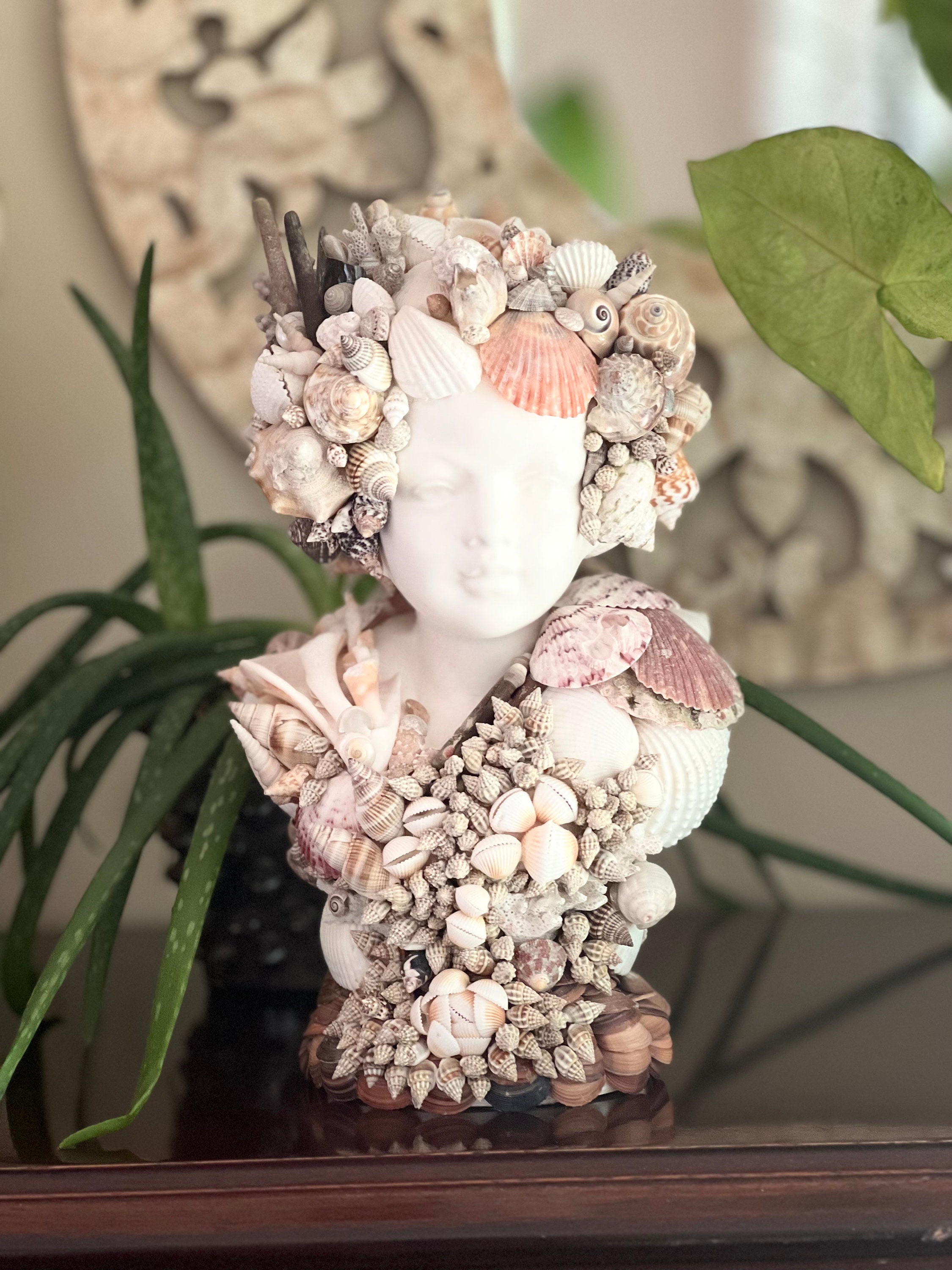Sea Shell Embellished Bust - Etsy