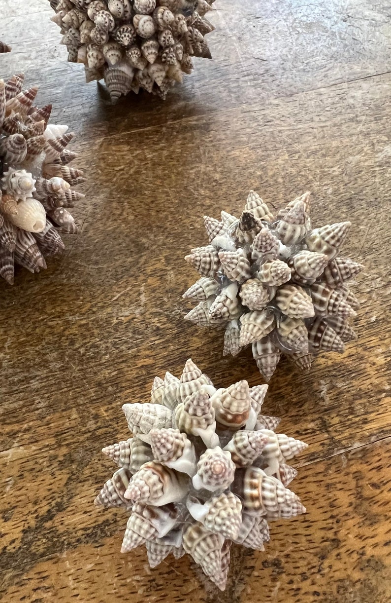 Sea Shell Orbs - Etsy