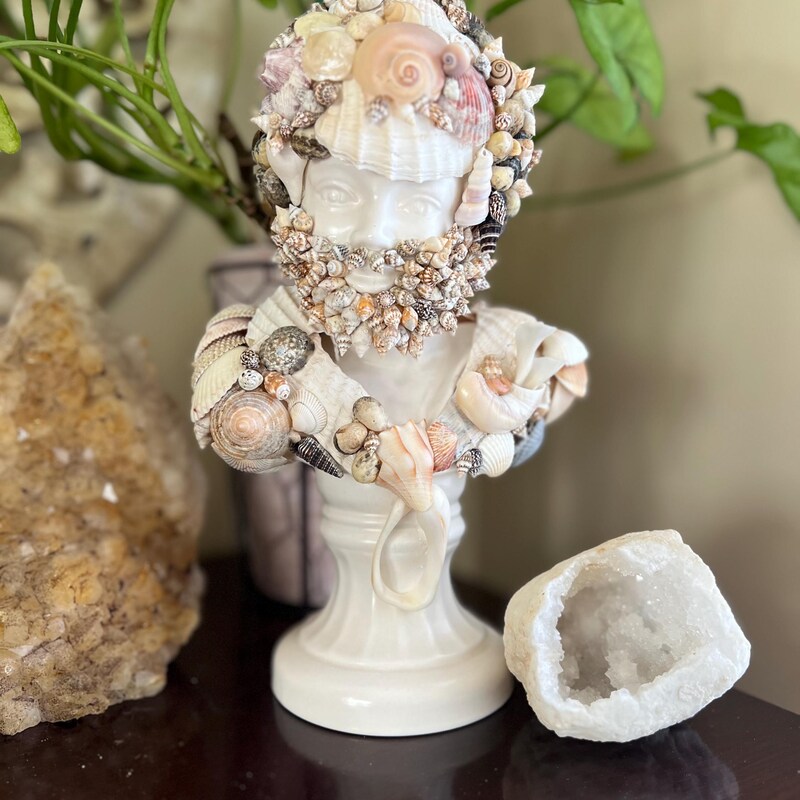 Sea Shell Sculpture - Etsy