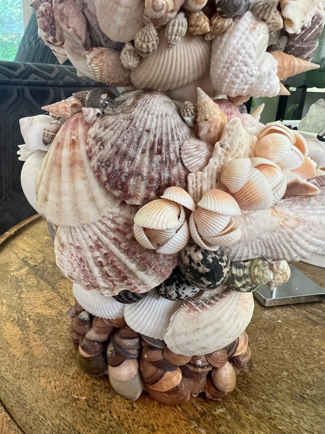 Sea Shell Embellished Bust - Etsy