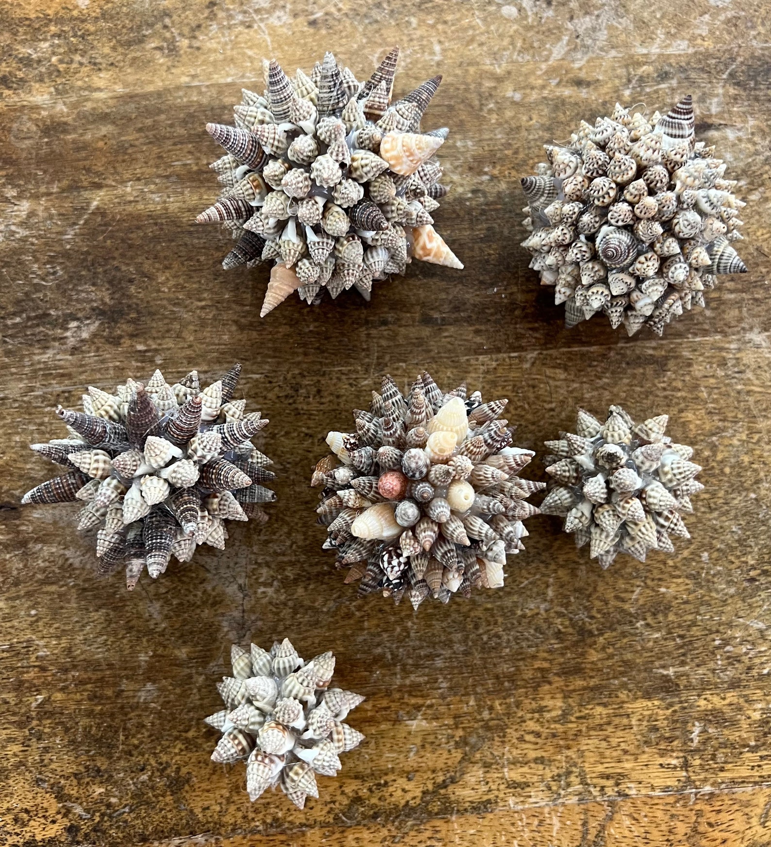 Sea Shell Orbs - Etsy