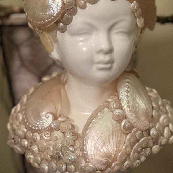Shell Bust - Etsy