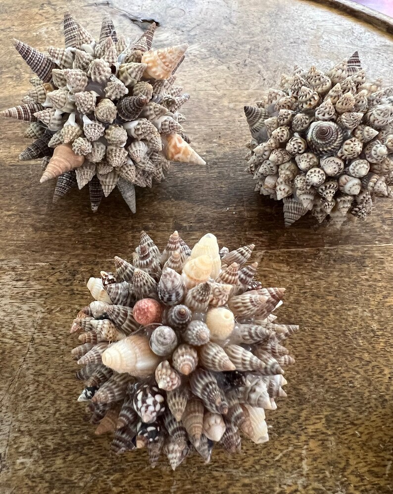 Sea Shell Orbs - Etsy