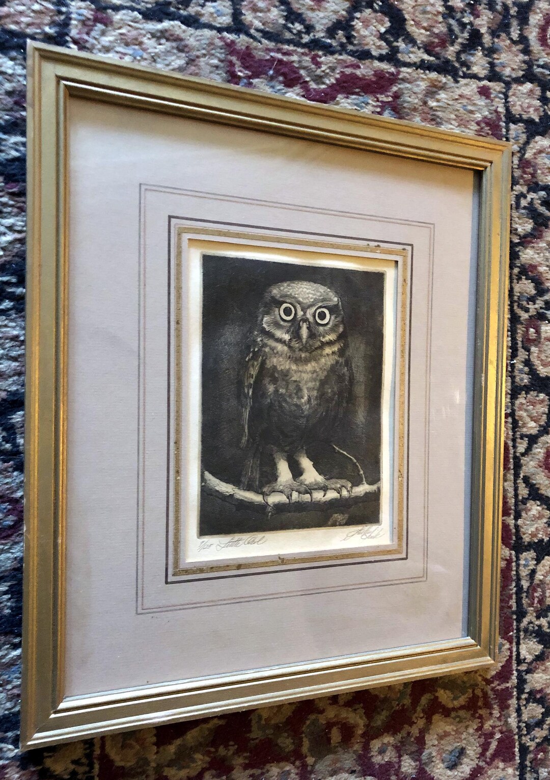 Sheldon 'shelly' Fink Signed 'little Owl' Etching 1978 - Etsy