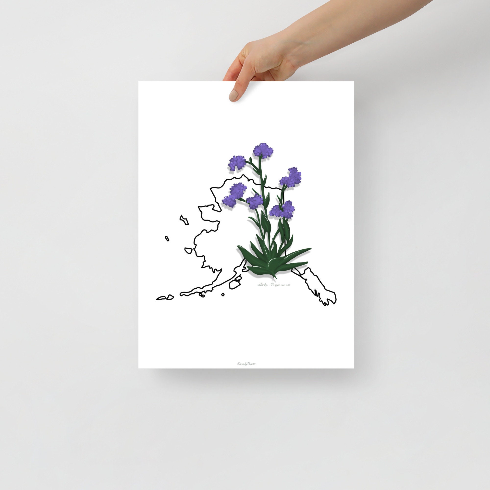 Alaska Forget-me-not Poster - Etsy