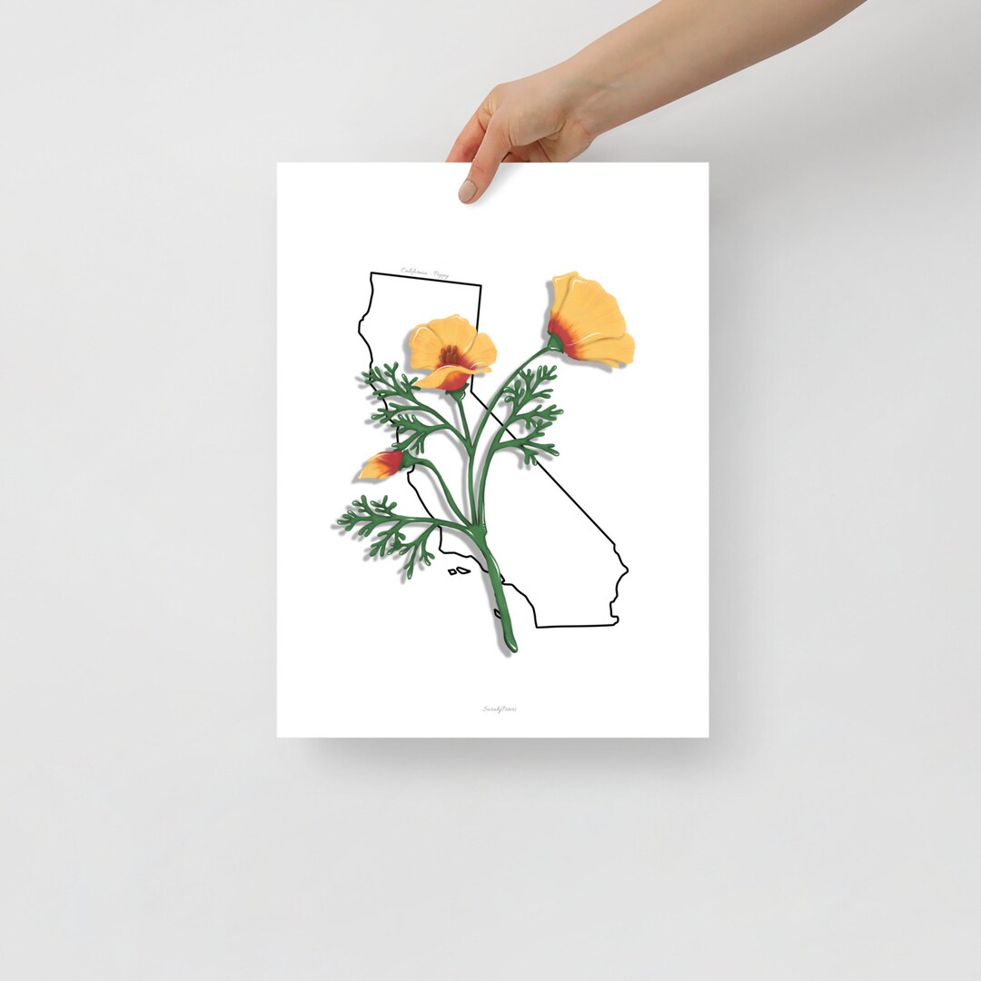 California Poppy - Poster - Etsy