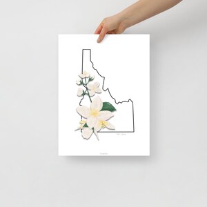 Idaho Syringa - Poster - Etsy