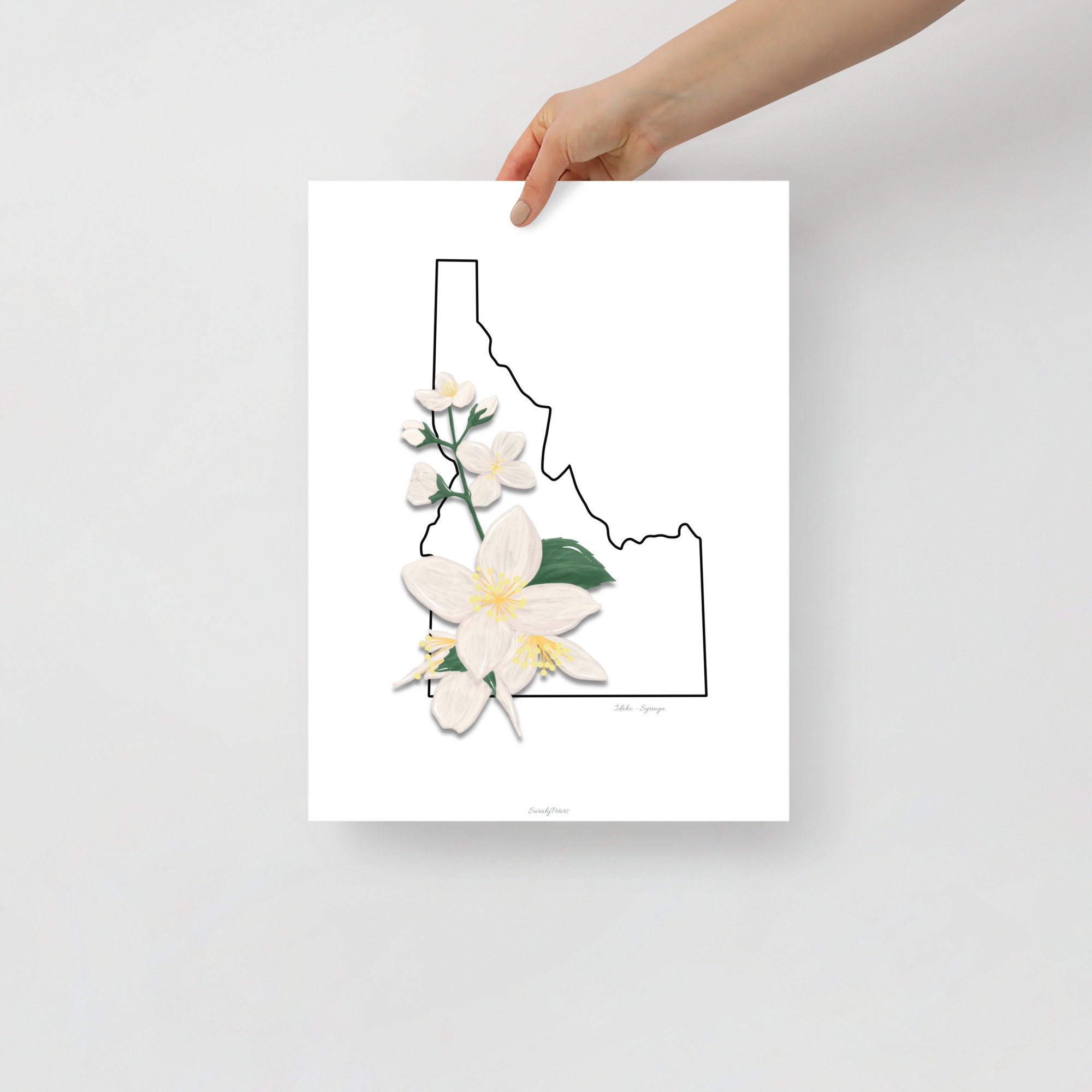 Idaho Syringa - Poster - Etsy