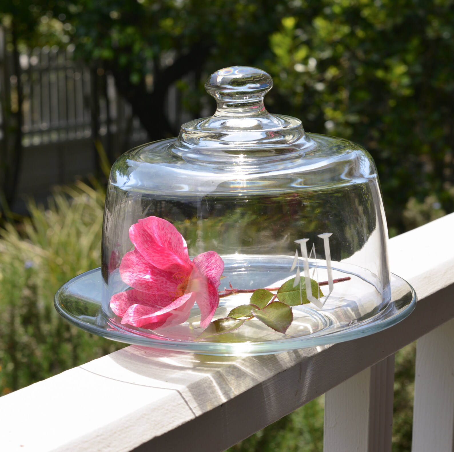 Dome Covered Plate Monogram U Letter U Covered Cheese - Etsy