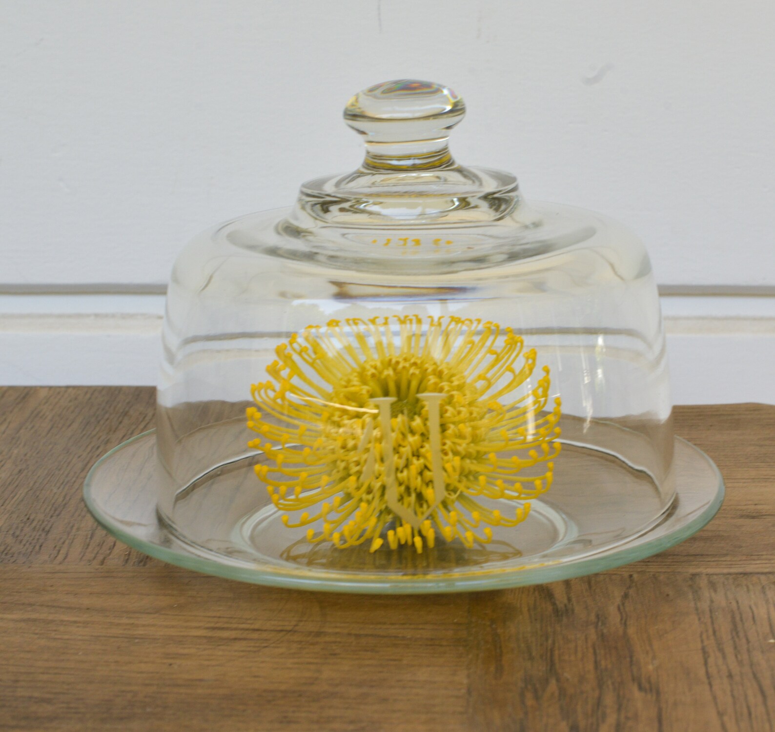 Dome Covered Plate Monogram U Letter U Covered Cheese - Etsy