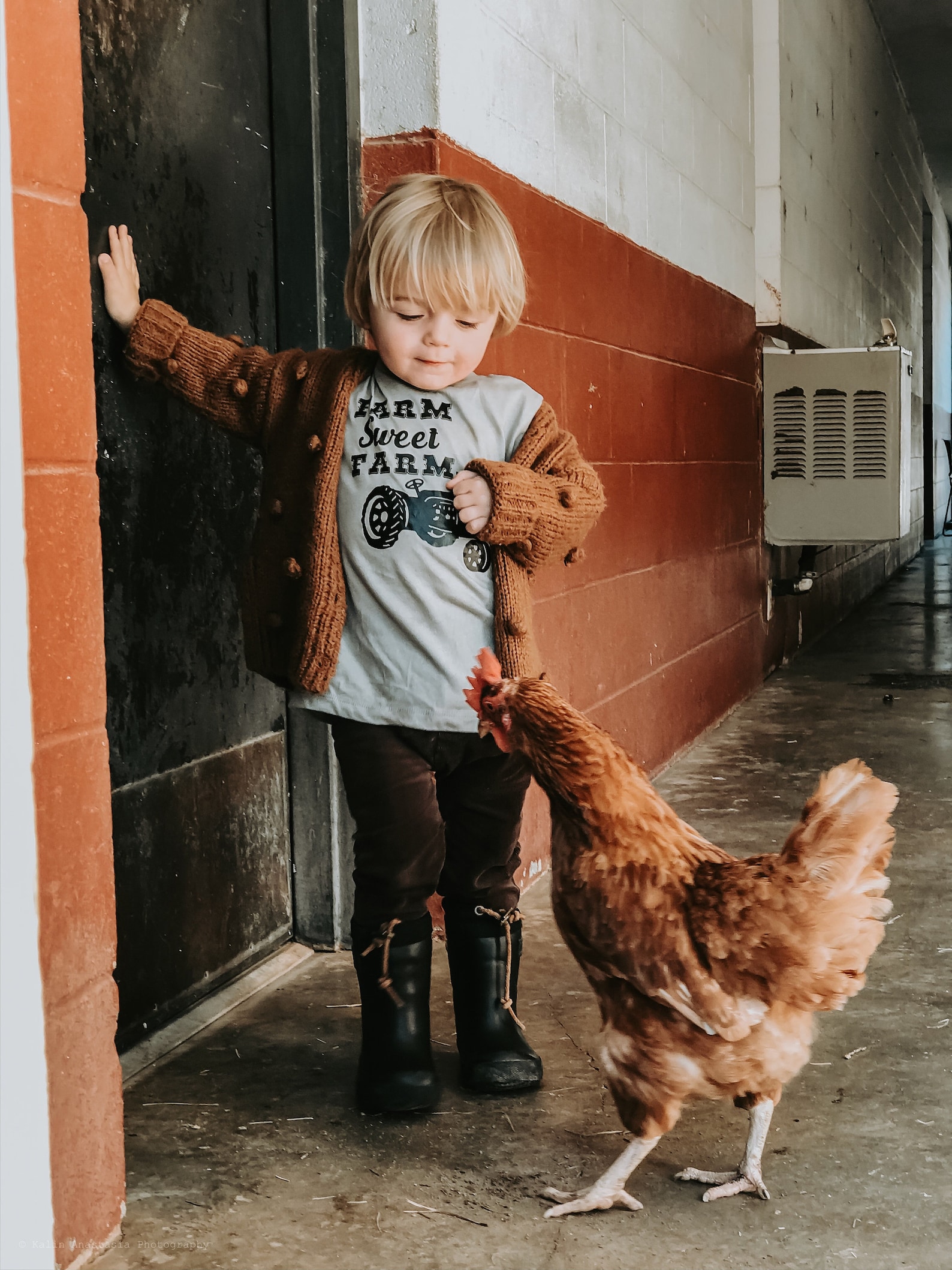 Farm Baby Clothes - Country Baby Clothes - Cow Baby Clothes - Cute Baby ...