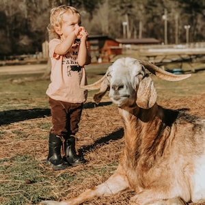 Farm Baby Clothes - Country Baby Clothes - Cow Baby Clothes - Cute Baby ...
