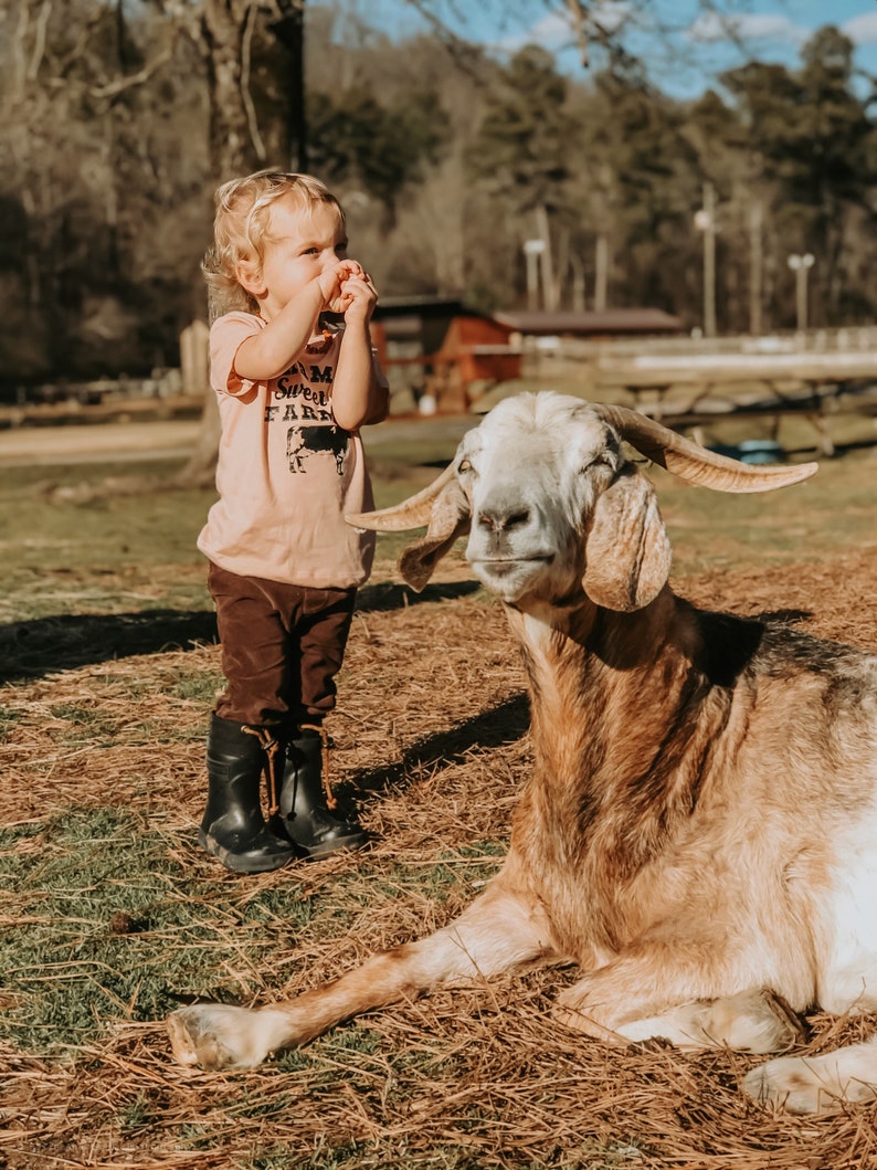 Farm Baby Clothes Country Baby Clothes Cow Baby Clothes | Etsy