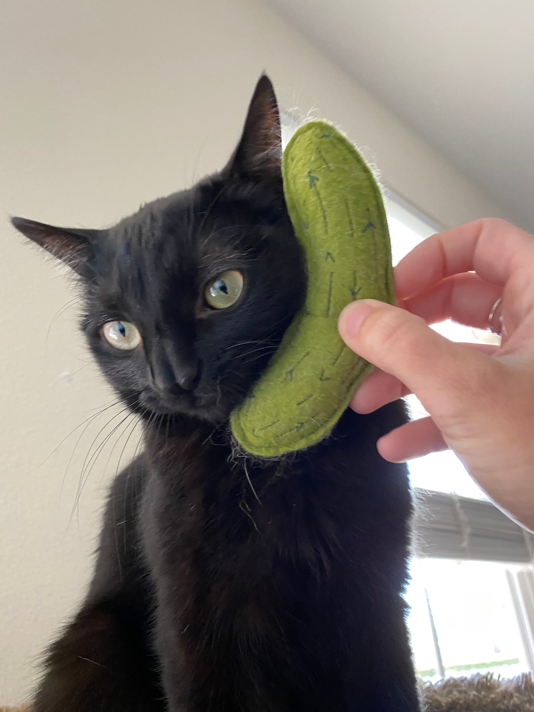 Pickle for Kitty Cat - Felt Sensory Catnip Silvervine Toy - Pickle Toy With Catnip - Cat Play ...