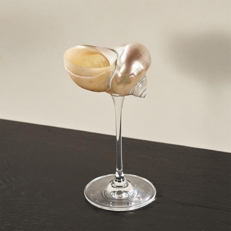 Seashell Vase - Etsy