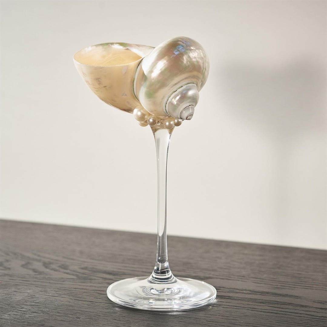 Handmade Conch Shell Martini Glass, Natural Seashell Wine Goblet, Beach ...