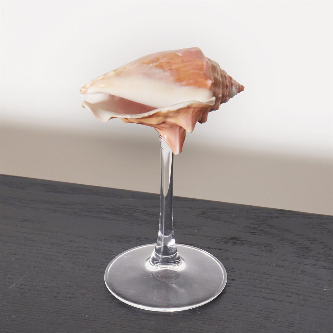 Seashell Martini Glasses,trending Valentine's Day Gifts 2025,shell Wine ...