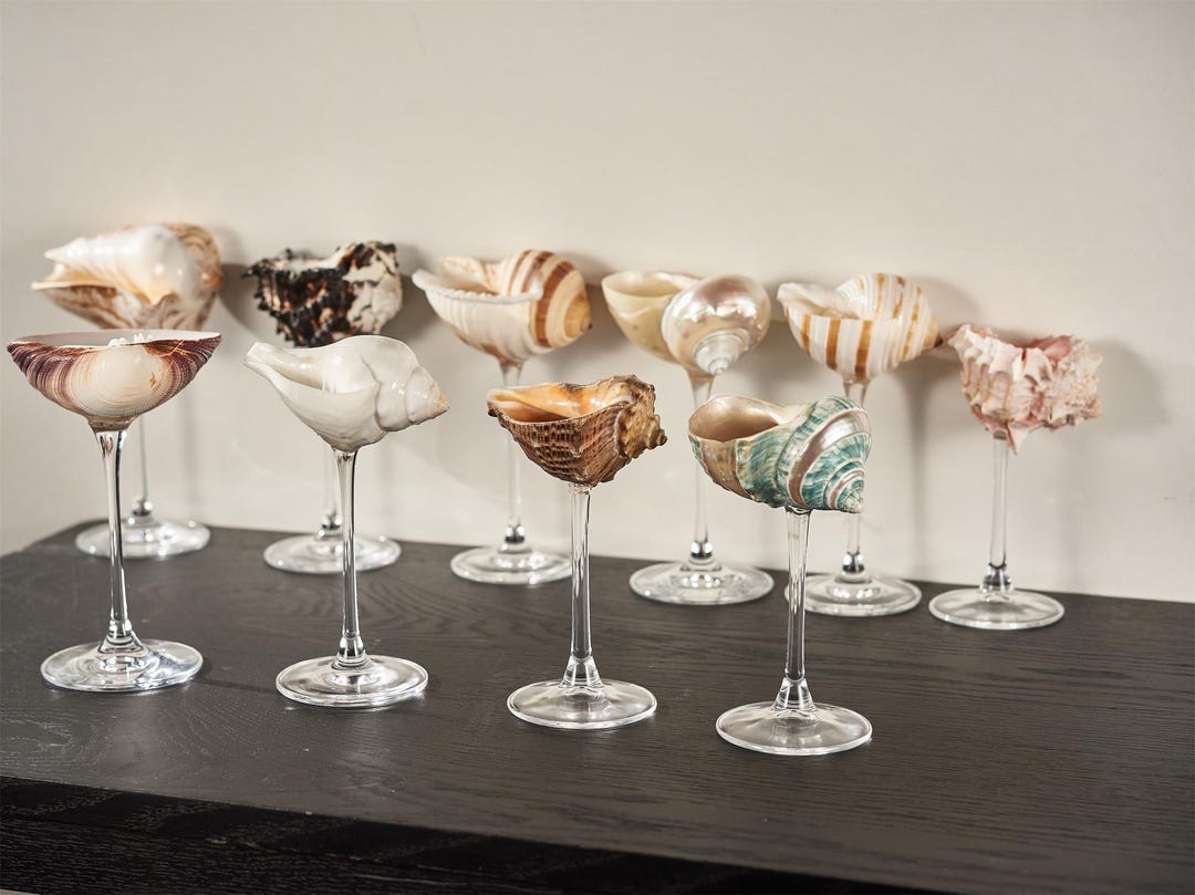 Natural Conch Shell Wine Glass,beach Wedding Bridesmaid Gifts,handmade ...