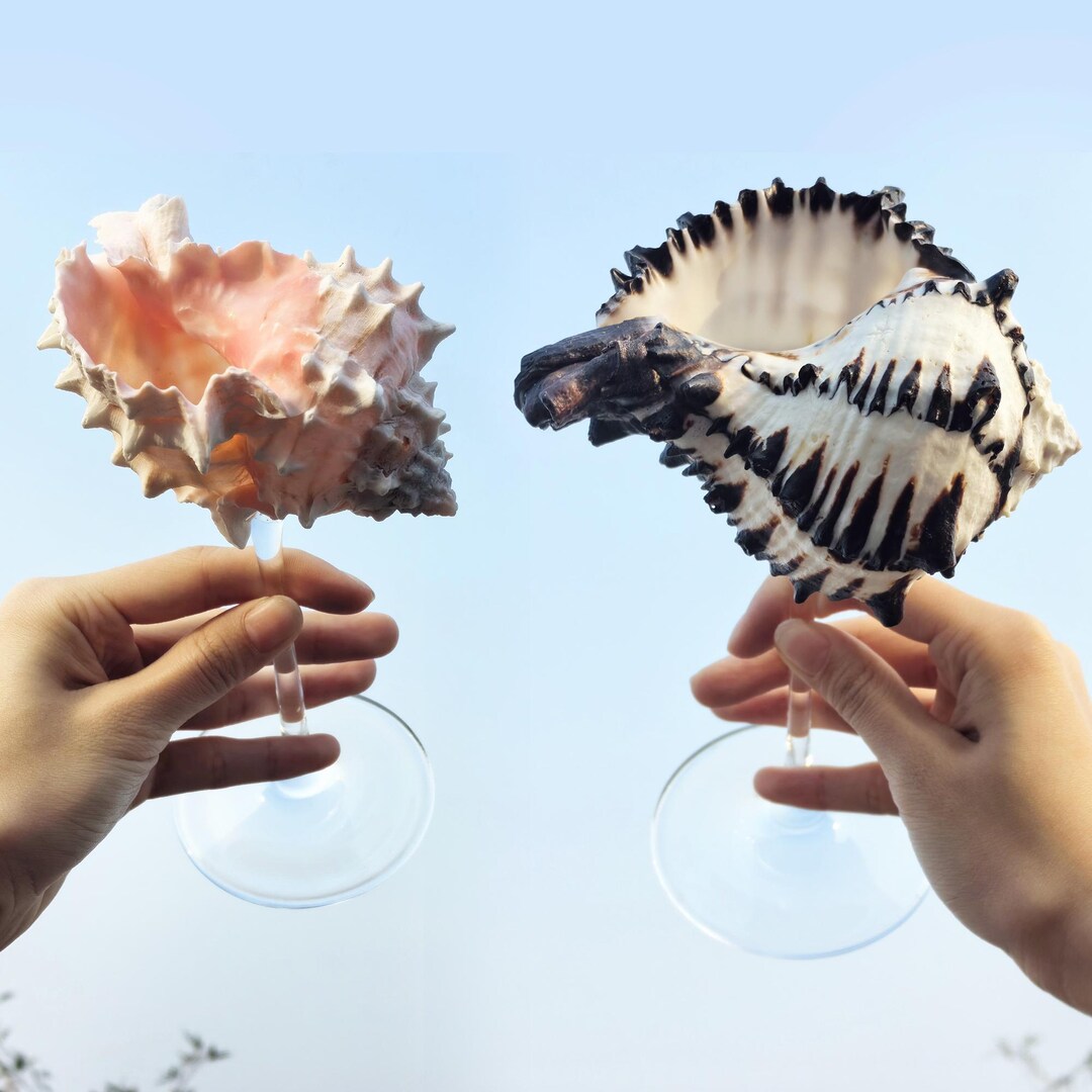 Bride & Groom Conch Champagne Flute, Seashell Martini Glassses, Wedding ...