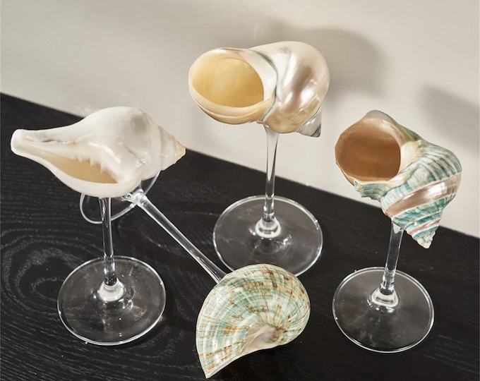 Set of Antique Ocean Blue Seashell, Starfish and Marine Life Etched ...