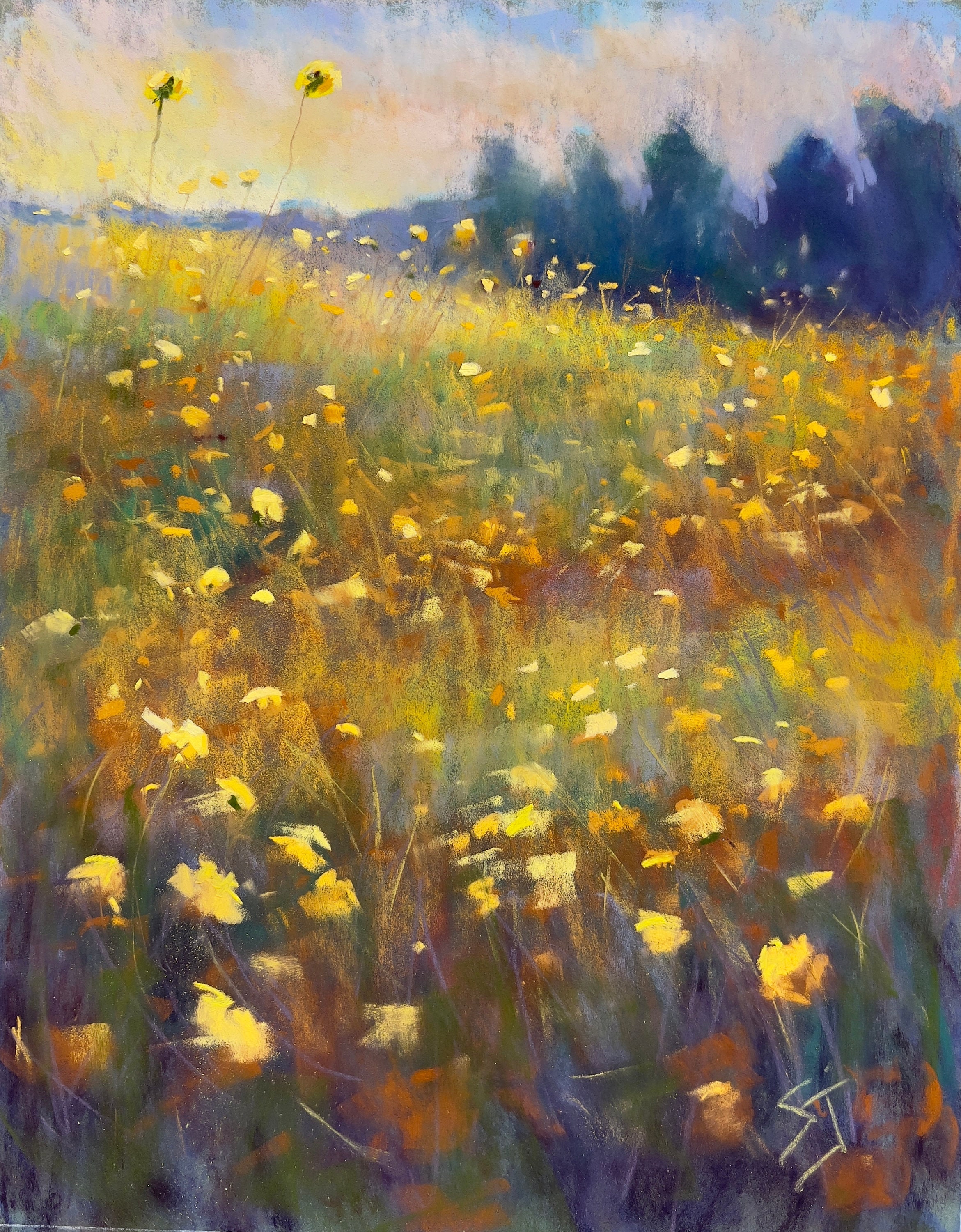 Pastel Painting / Yellow Flower Landscape / 11 X 14/ Susan Jenkins - Etsy