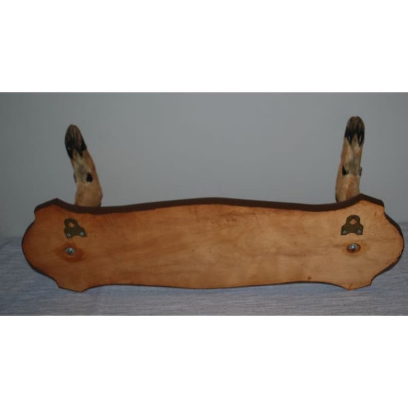 Deer Hoof Gun Rack Taxidermy Foot Feet on Wooden Mount Coat Clothes - Etsy