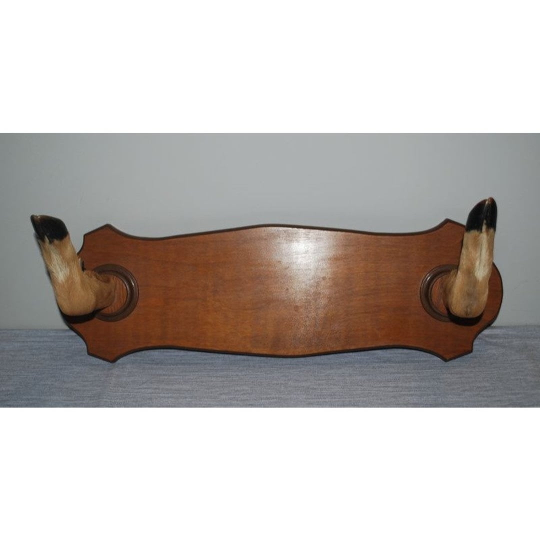 Deer Hoof Gun Rack Taxidermy Foot Feet on Wooden Mount Coat Clothes - Etsy