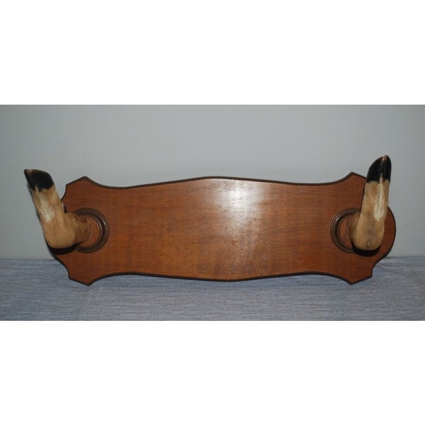 Deer Foot Coat Rack - Etsy