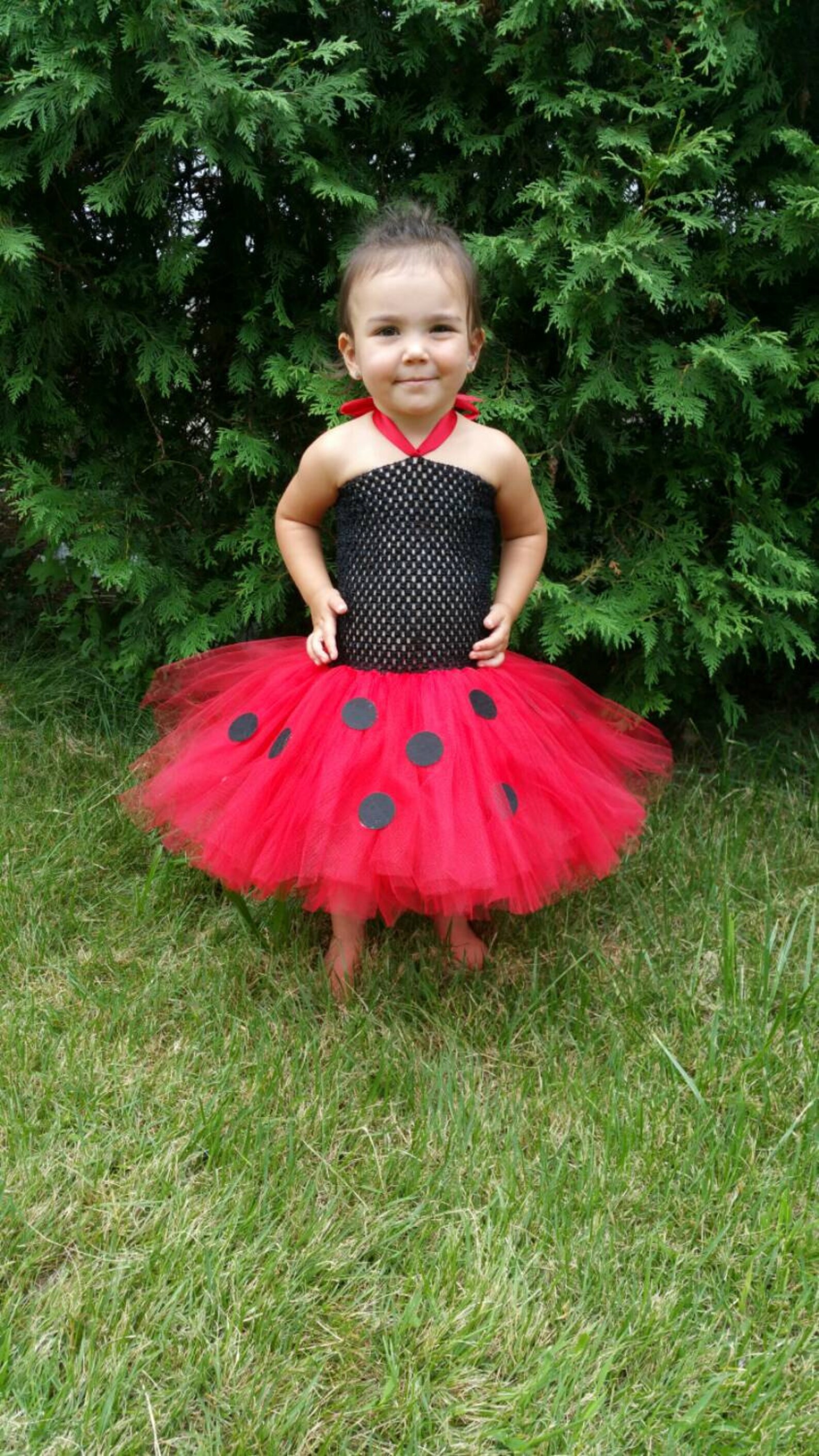 Lady Bug Costume // Lady Bug Tutu // Bug Costume // Bug Tutu - Etsy