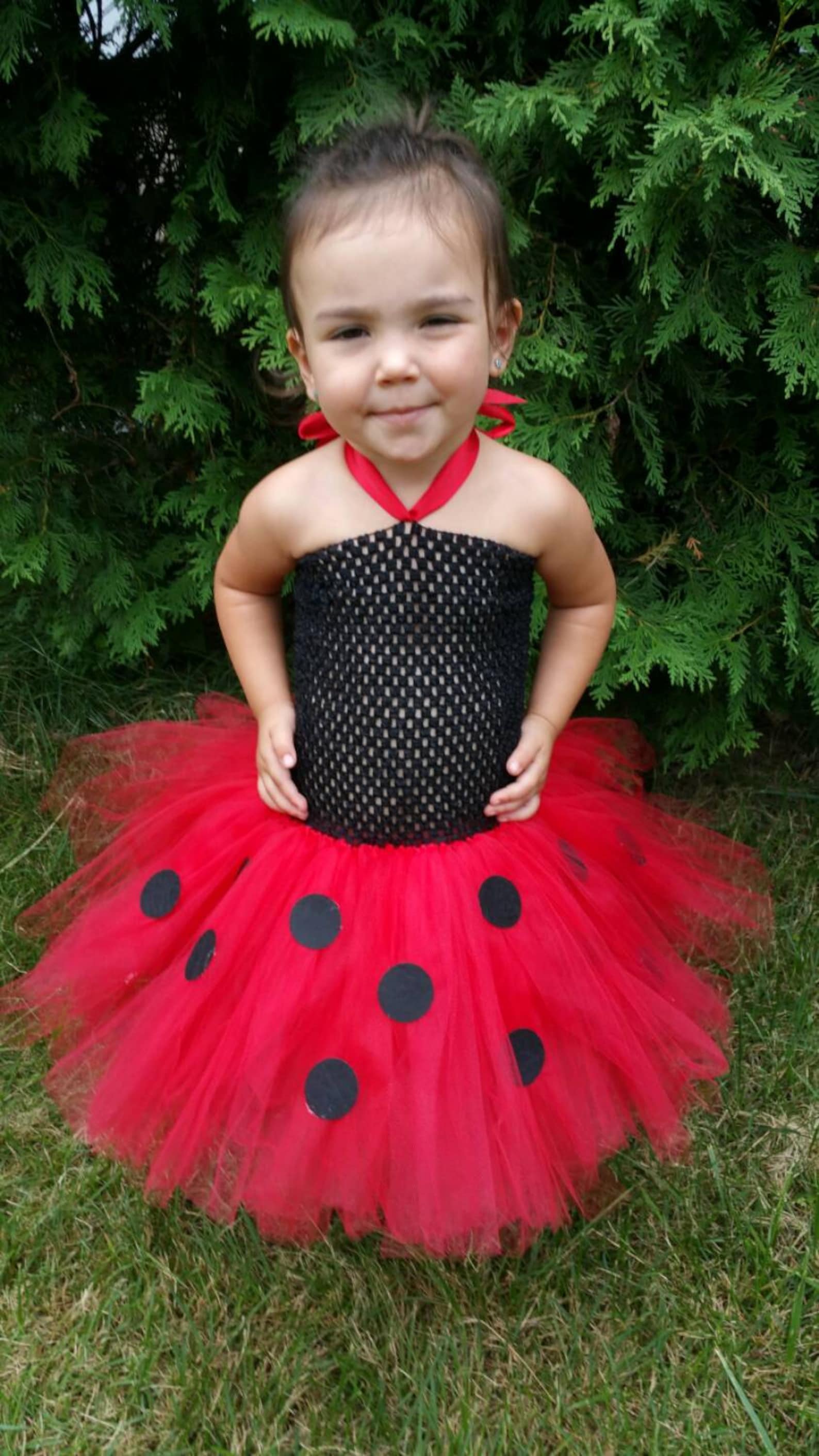 Lady Bug Costume // Lady Bug Tutu // Bug Costume // Bug Tutu ...