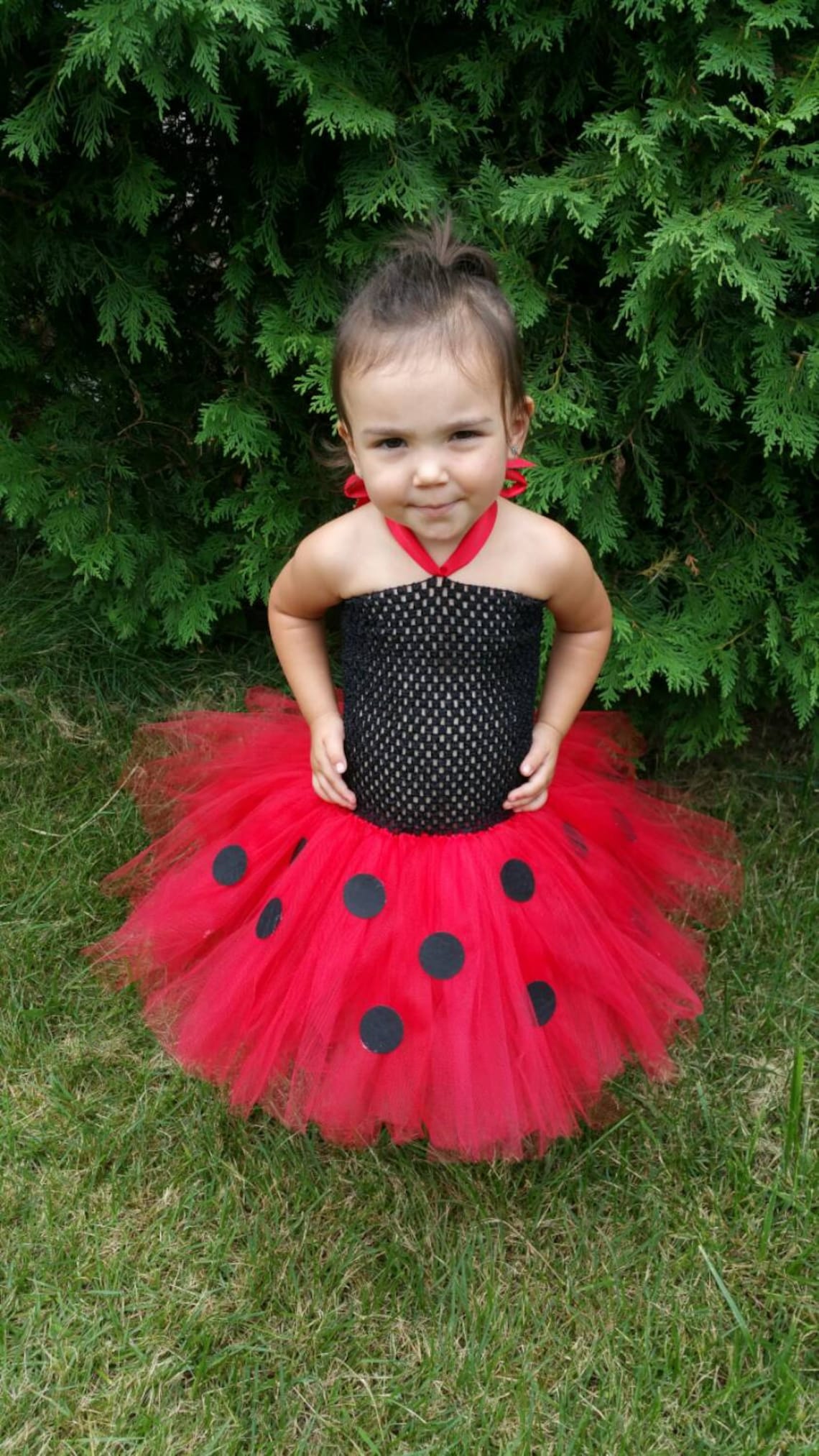 Lady Bug Costume // Lady Bug Tutu // Bug Costume // Bug Tutu - Etsy
