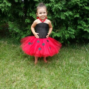 Lady Bug Costume // Lady Bug Tutu // Bug Costume // Bug Tutu ...