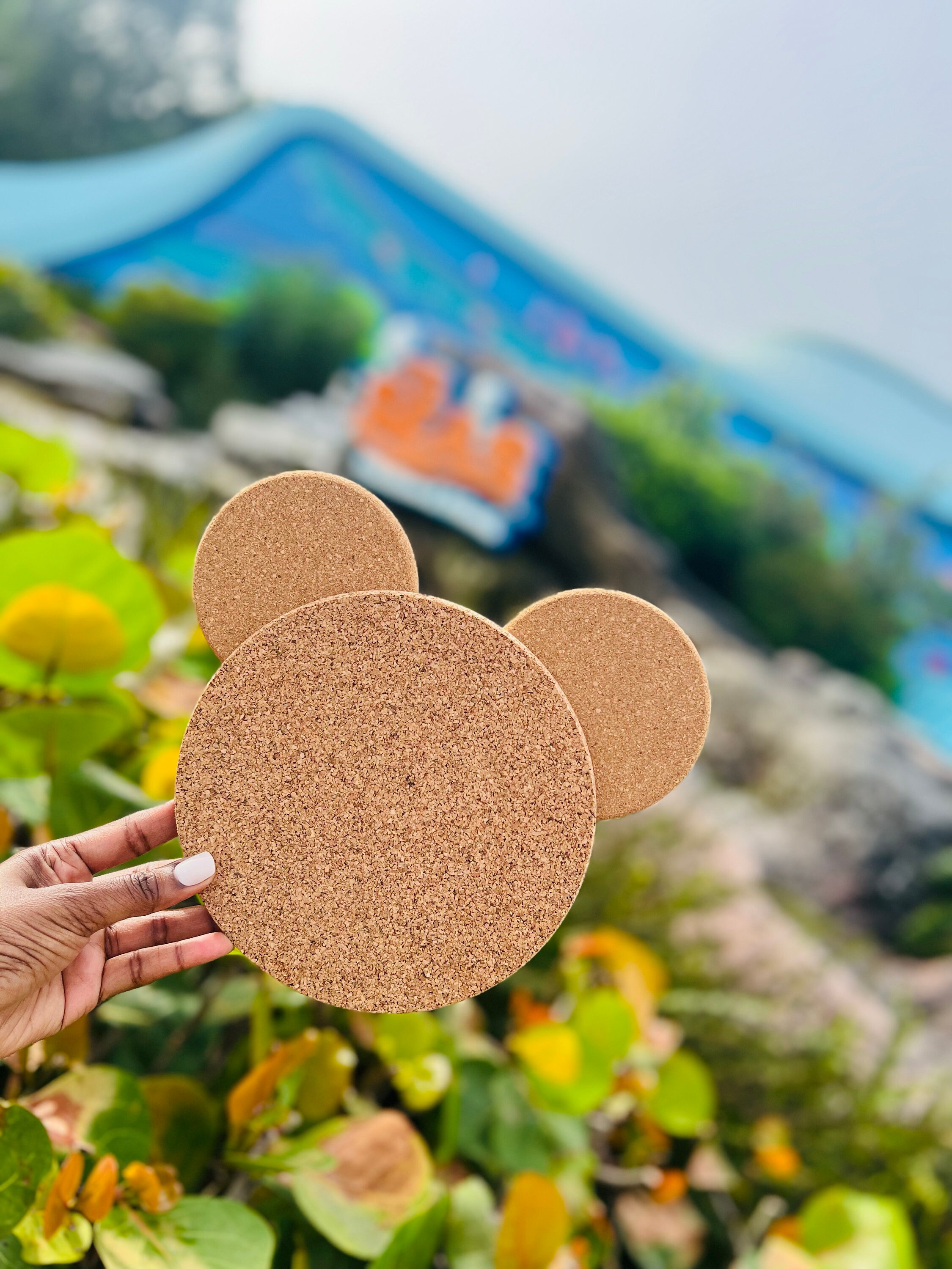 Mouse Cork Board for Pin Trading - Etsy