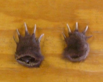 Badger paw | Etsy