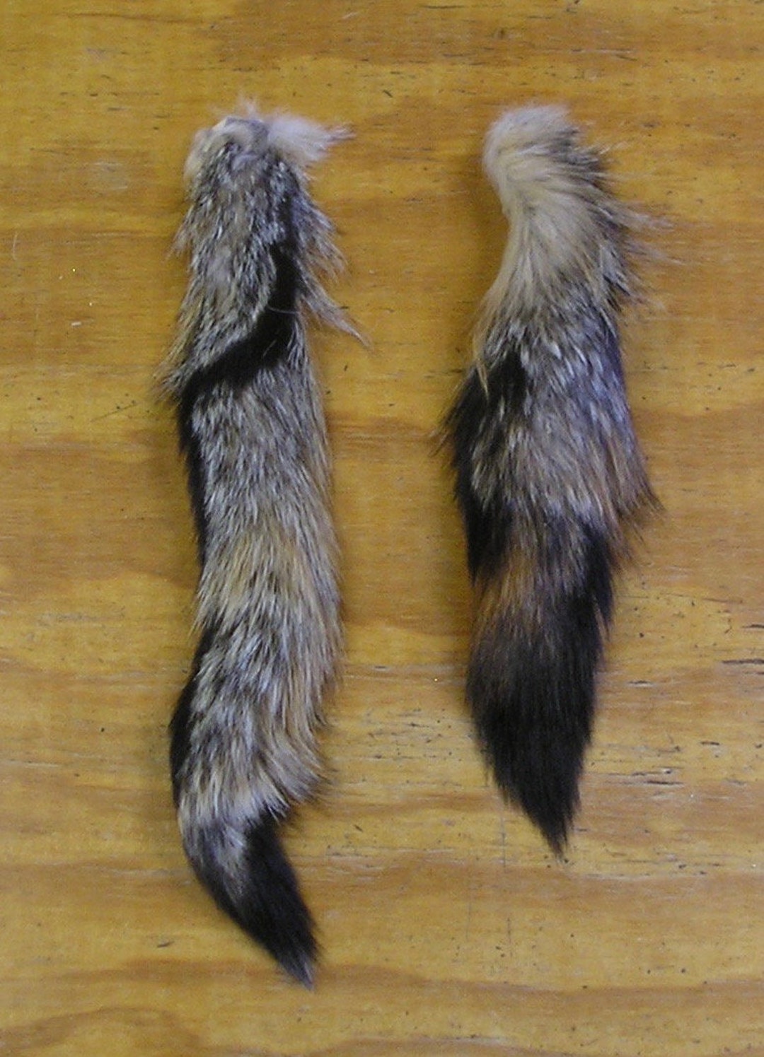 2 Grey Fox Tails for Native American Ceremonies - Etsy