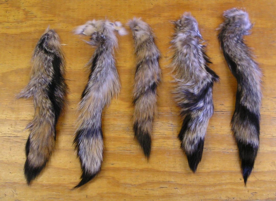 5 Grey Fox Tails - Etsy