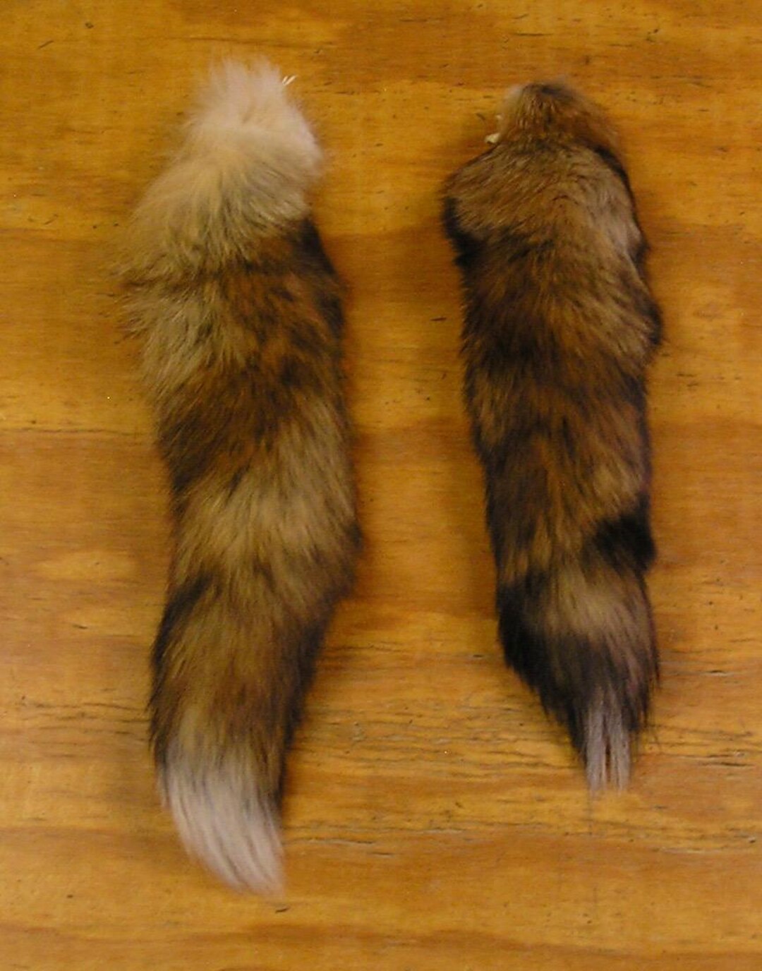 2 Red Fox Tails - Etsy