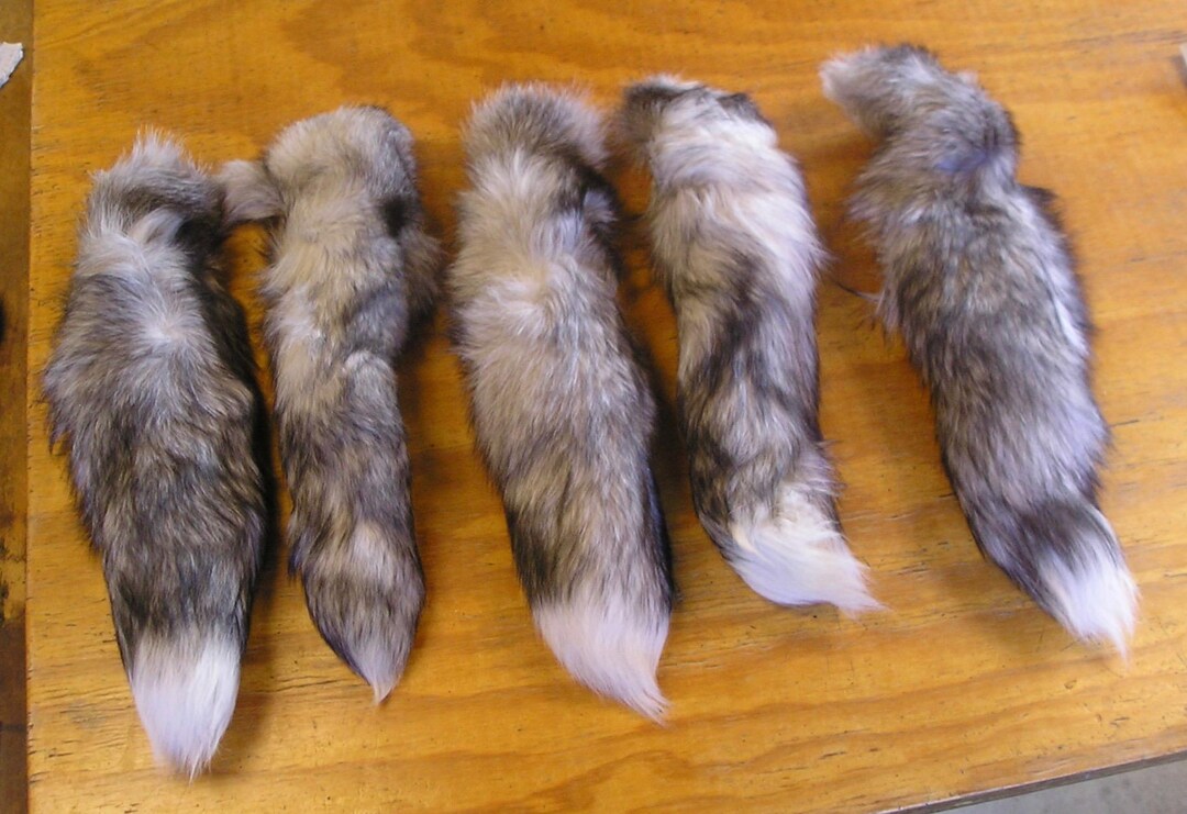 5 Huge Indigo Fox Tails - Etsy