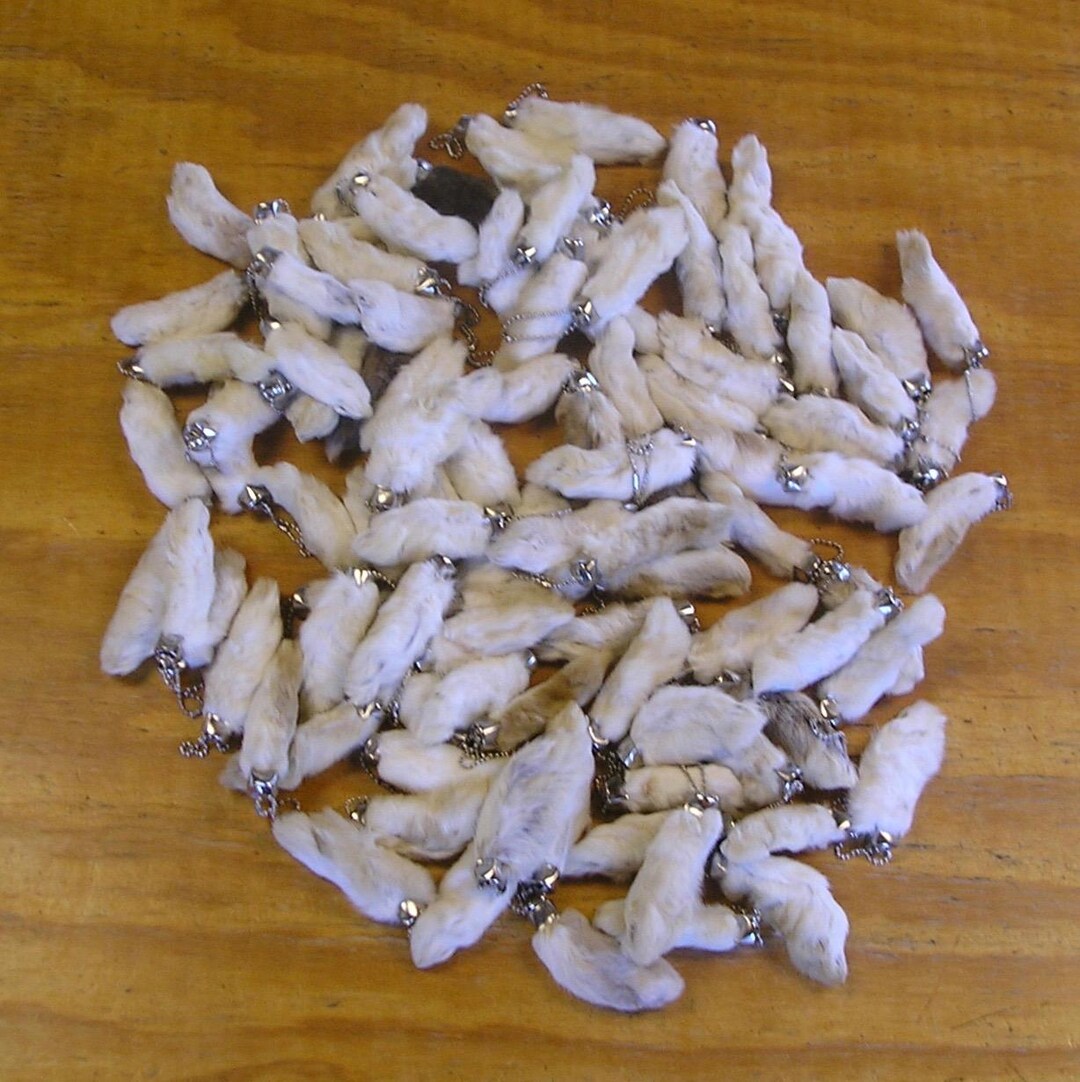 100 Natural Rabbit Feet With Chain - Etsy