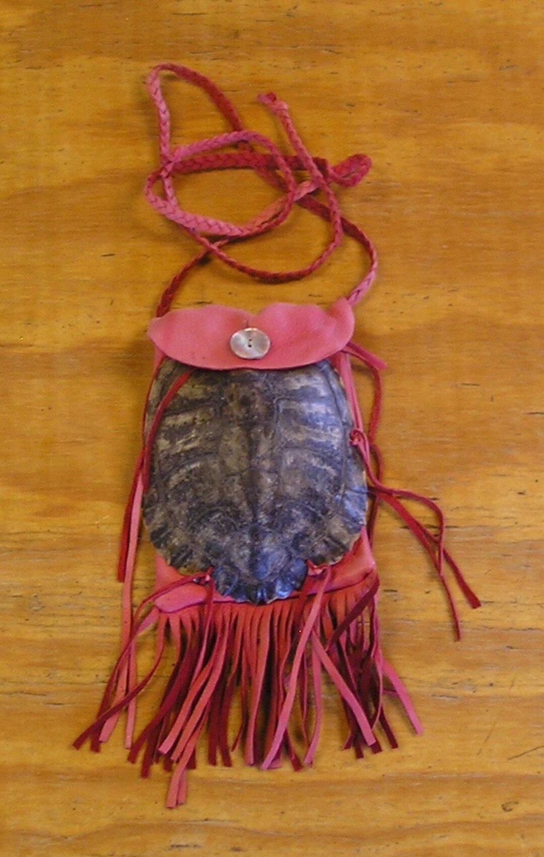 6" Red Ear Slider Turtle Shell & Red Color Deer Leather Bag - Etsy