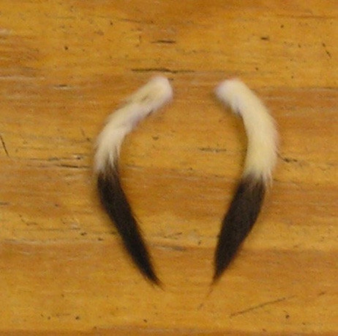 2 Ermine Tails - Etsy