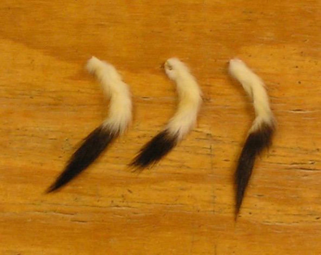 3 Ermine Tails - Etsy