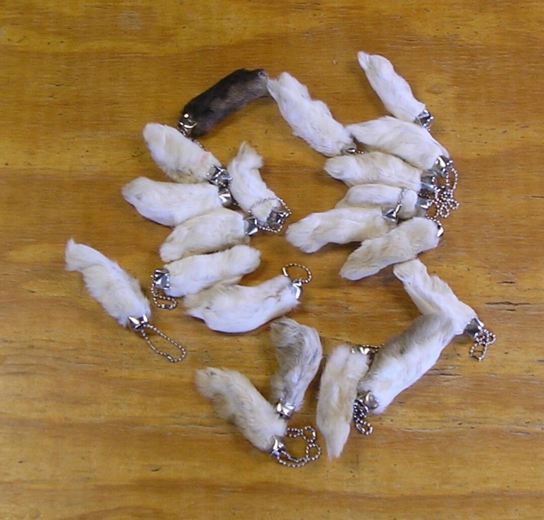 20 Natural Rabbit Feet With Chain - Etsy