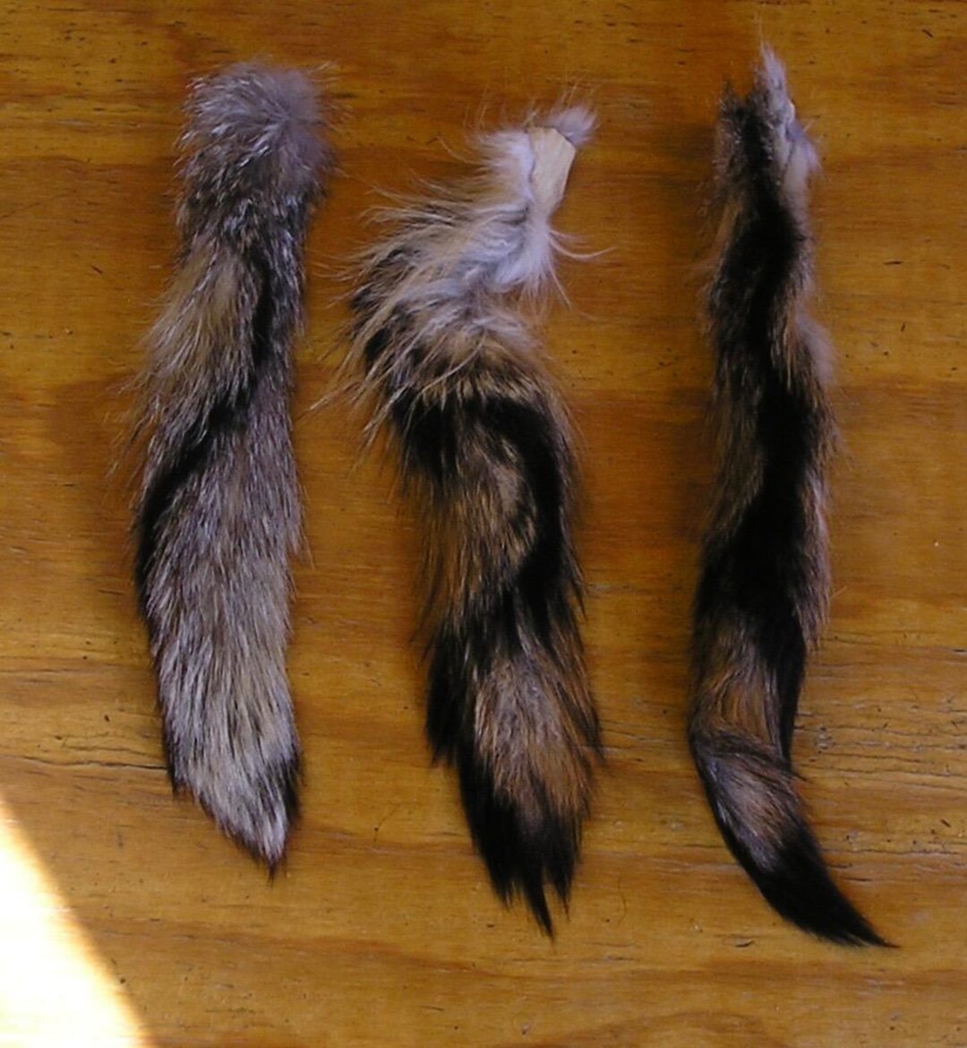3 Grey Fox Tails - Etsy