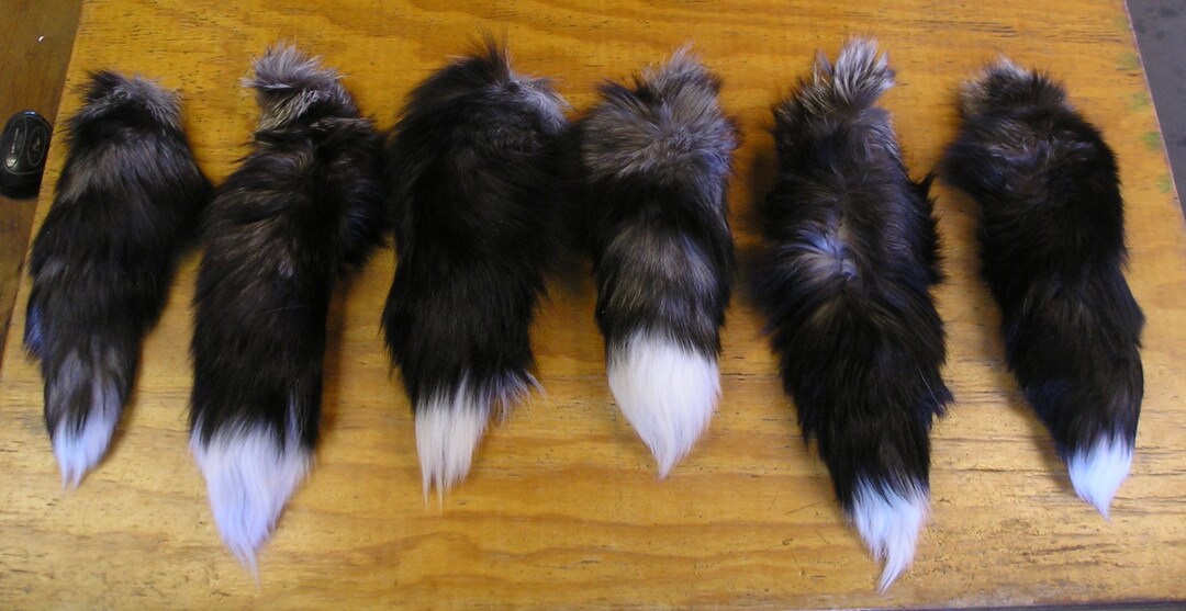 6 Silver Fox Tails for Native American Ceremonies - Etsy